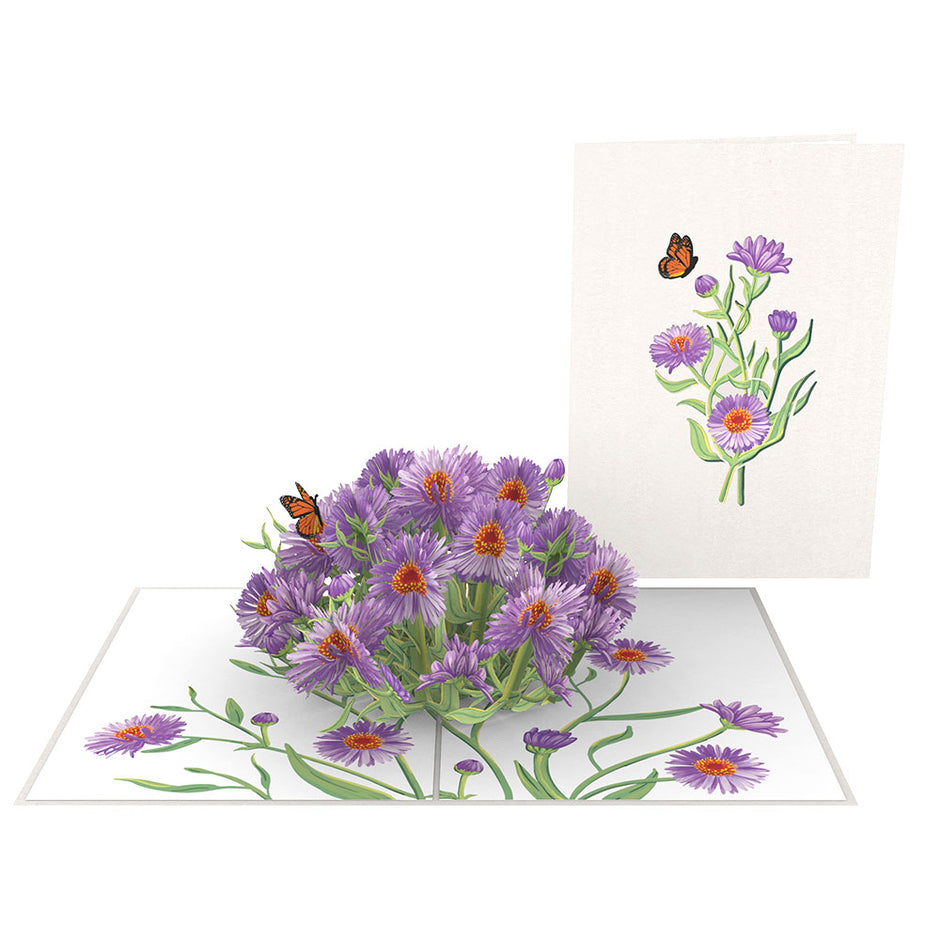 Blue Bird Cards - Send a Card