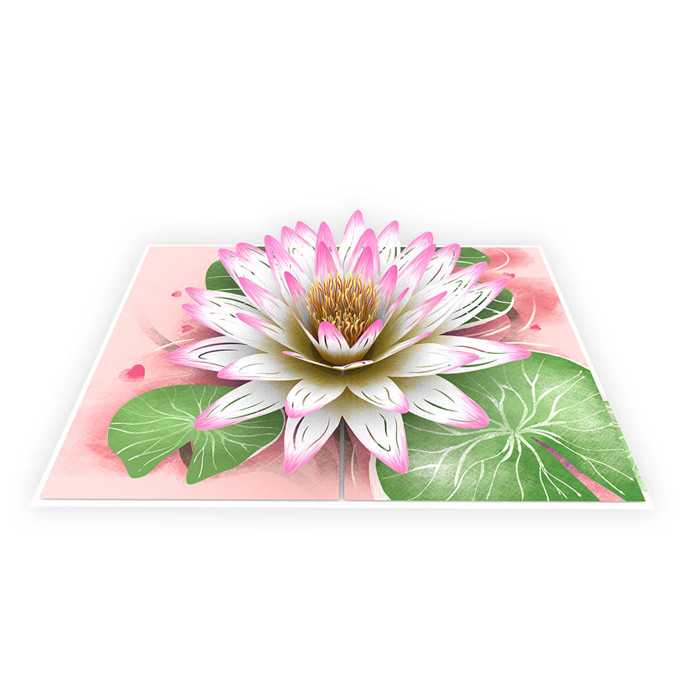 Water Lily Pop-Up Card – Blue Bird Cards