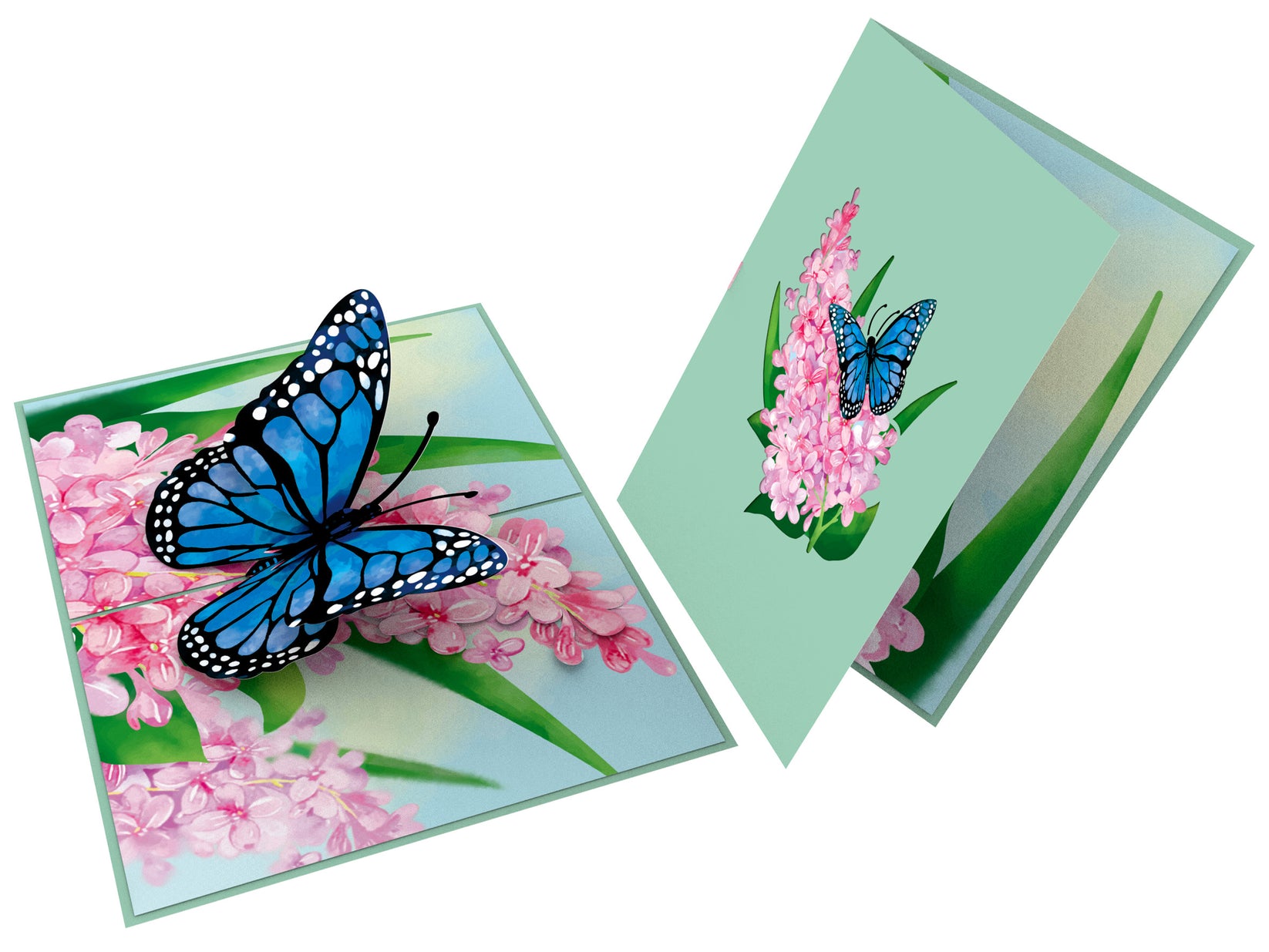 Blue Butterfly Pop-Up Card – Blue Bird Cards